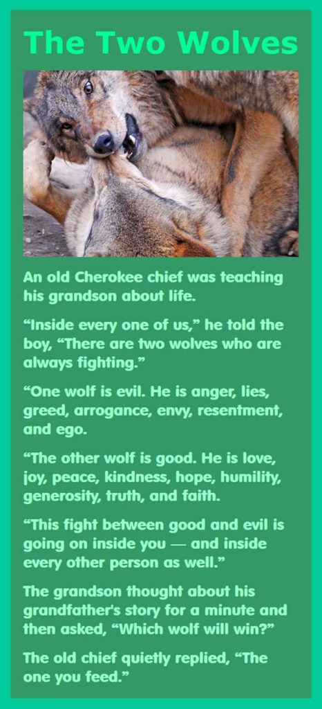 Native American Wisdom: The Two Wolves – My Incredible Website