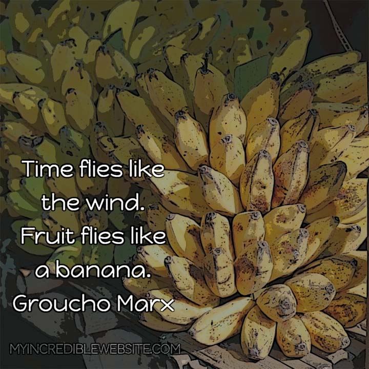 Funny Joke from Groucho Marx – My Incredible Website