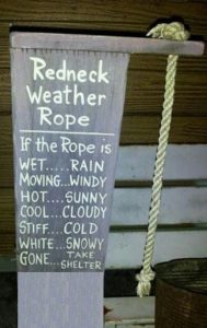 I Just Love Rednecks: Very Creative! – My Incredible Website