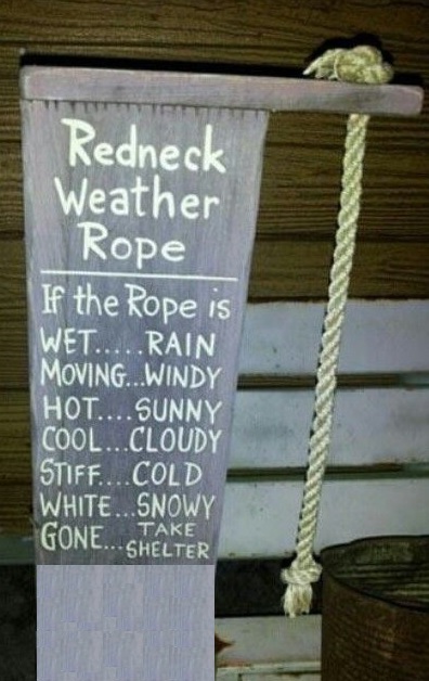 I Just Love Rednecks: Very Creative! – My Incredible Website