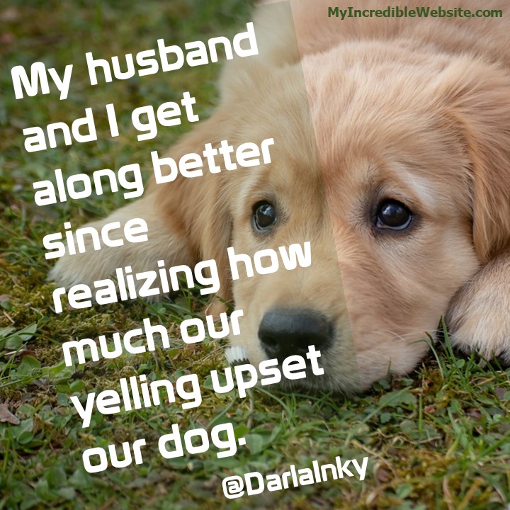What Upsets the Dog?